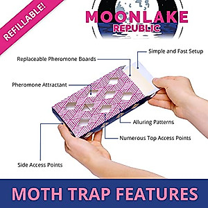 Moth Traps for Clothes & Pantry - Dual Pantry Moth Trap and Clothing Moth Traps - Natural & Odor-Free Closet and Pantry Moth Traps with Pheromones - Set of 6 Moth Traps for House