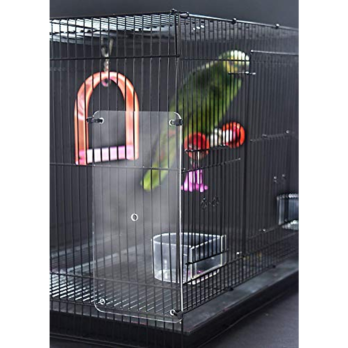 Feathered Phonics The Seed Guard, Small