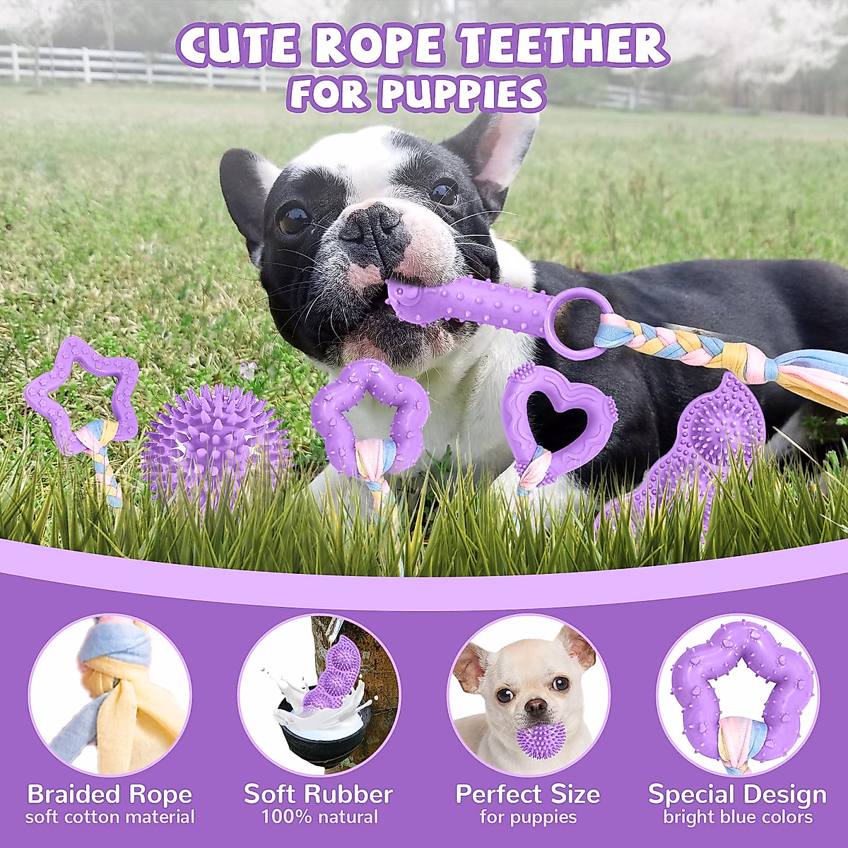 ABRRLO 6 Pack Puppy Teething Toys Cute Small Dog Toys Durable Puppy Chew Toys for Teething Essentials Purple Soft Rubber Small Breed Dog Squeaky Toys Balls for Puppies Interactive Doggy Chews Toys Set