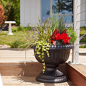 Bloem GU18-00 Grecian Urn Planter, 18", Black