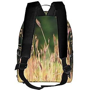 BAFAFA grasses view Printed Travel Backpack Business Work Bag Computer Bag Outdoor Sports Rucksack