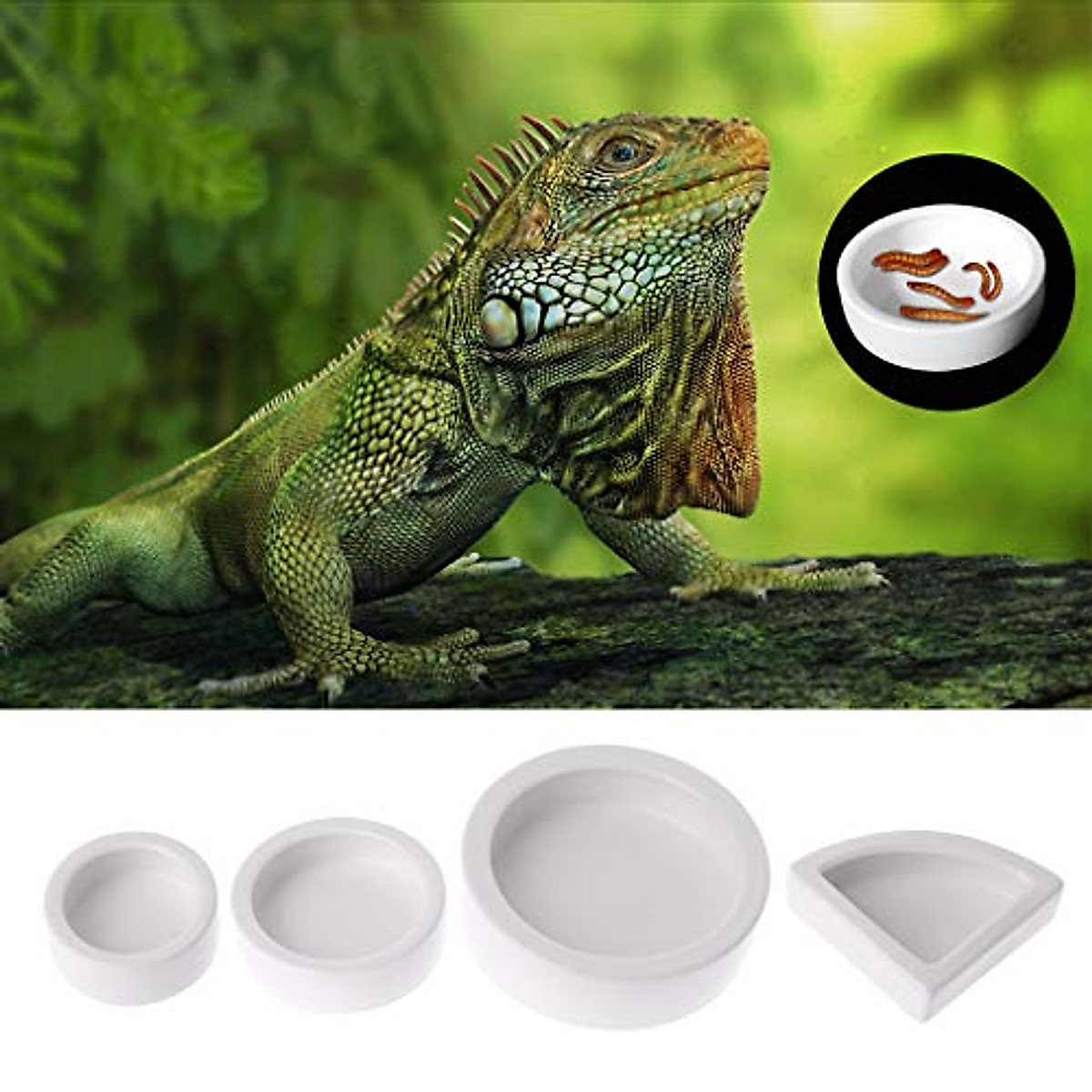 7haofang Ceramics Reptile Feeder Water Food Dish Feeding Bowl Turtle Lizard Snake Basin