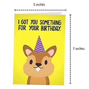 Sleazy Greetings Squirrel Pop Up Birthday Card | Funny Birthday Card for Men Women | Squirrel 3D Greeting Cards 5x7 Inch