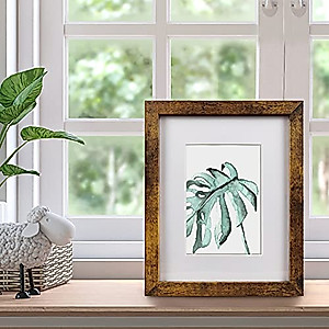 8x10 Picture Frame Brown Set of 6, Display Pictures 5x7 With mat or 8x10 Without Mat