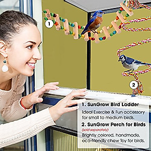 SunGrow Bird Ladder Bridge, 20 x 3 Inches, Raw Wood and Edible Dye, Suitable for Small to Medium Birds, 1 Piece