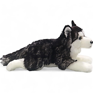 Carl Dick Husky 14 inches, 32cm Overall Length, Plush Toy, Soft Toy, Stuffed Animal 2783