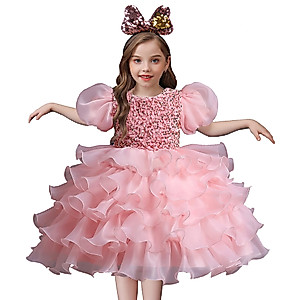 Myosotis510 Girls' Lace Princess Wedding Baptism Dress Long Sleeve Formal Party Wear for Toddler Baby Girl (Ruffle Pink, 6 Years)