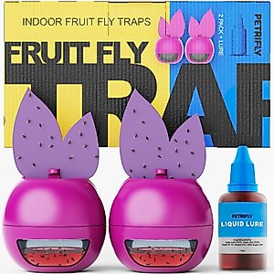UV Fruit Fly Traps For Indoors + Sticky Traps 2pk- Fruit Fly Traps Indoor For Home - Fruit Fly Trap & Gnat Traps For House Indoor - Gnats And Fruit Fly Killer Indoor - Gnat Catcher,Gnat Trap,Nat Traps
