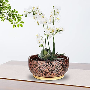 G EPGardening 8 Inch Terracotta Succulent Planter Pot with Drainage Hole Round Shallow Bonsai Planter Pot with Bamboo Saucer Flower Pot for Indoor Plants Black