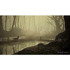 Blair Witch - PlayStation 4