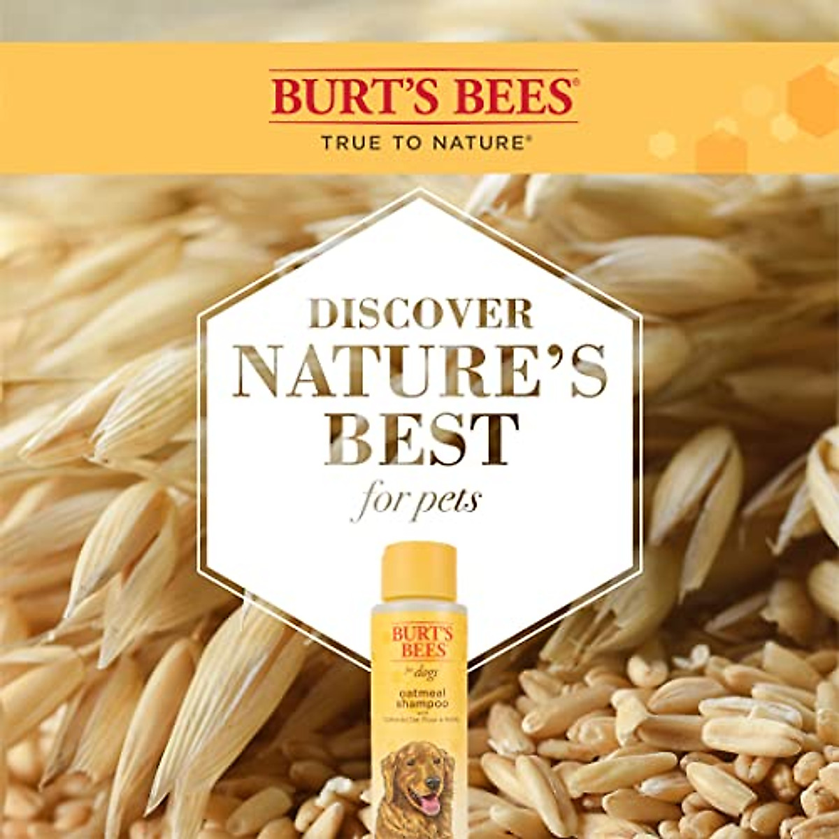 Burt's Bees for Pets Oatmeal Dog Shampoo | With Colloidal Oat Flour & Honey | Moisturizing & Nourishing, Cruelty Free, Sulfate & Paraben Free, pH Balanced for Dogs - Made in USA, 16 Oz