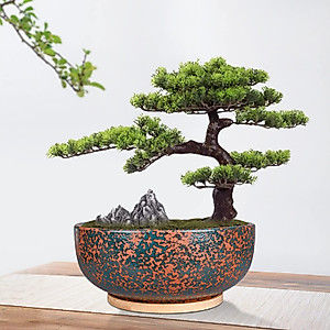 Fivepot 10 Inch Large Terracotta Planter Succulent Plant Bowl Deep Flower Pot Indoor and Outdoor Decor Drainage Bamboo Tray