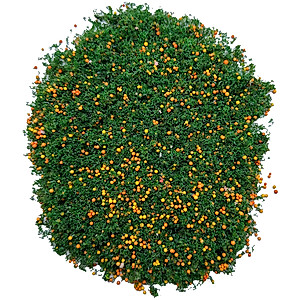 Cayway 4 Color Colorful Tree Powder Model Tree Tufted for DIY Miniature Lowland Model Shrub Bushy Tuft Architecture Building Model Railway Fairy Garden Diorama Scenery