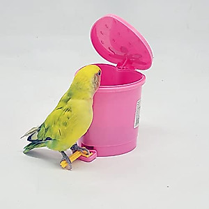 YANQIN Parrot Puzzle Toys, Trick Prop Training Education Interactive Toys for Parakeets, Conures, Cockatiels, Budgies, Lovebirds Bird Intelligence Training Toy for Small and Medium Birds