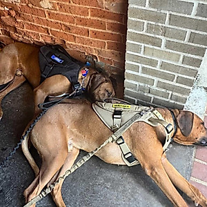 Custom Name Patch 2 Pieces,Personalized Military Tactical Tag Embroidery for Multiple Clothing Bags Vest Jackets Work Shirts