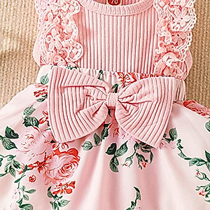 KAFIREN Baby Girl Dresses 6-9 Months Newborn Romper Dress Infant Lace Ruffle Sleeveless Summer Outfits with Headband Pink Flower 6-9 Months 90cm
