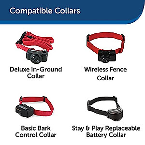PetSafe RFA-67 6 Volt Replacement Batteries - 2 Pack - Compatible with PetSafe 6V Lithium Battery-Operated Pet Products and Specific Dog Receiver Collars - RFA-67D-11, Black