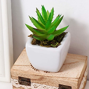 BESPORTBLE Moss Lifelike Artificial Green Moss for Flower Plant Garden Lawn Crafts Home Decoration