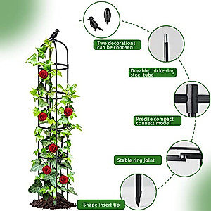 Garden Trellis for Climbing Plants Rustproof Coated Metal 6ft Tall Plant Support Trellis for Indoor & Outdoor Plants, Climbing Plant, Tomatoes, Vegetables, Fruits, Flowers, Pots, Vines