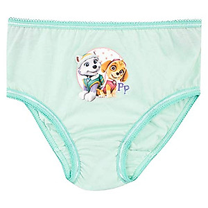 Paw Patrol Girls' Skye and Everest Underwear Size 5 Multicolored