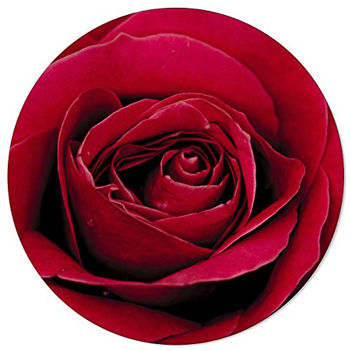 MUSEDAY Area Rug 3.3ft Round, Red Rose Flower Plant Kitchen Rugs Non Skid Area Indoor Floor Mat for Living Room, Bedroom