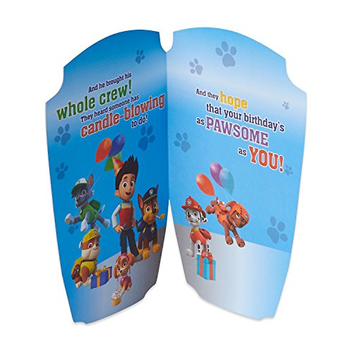 American Greetings Kids Birthday Card (Paw Patrol)