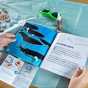 Fat Brain Toys Surprise Ride - Create a Seashell Photo Frame - Activity Kit, Ages 5+