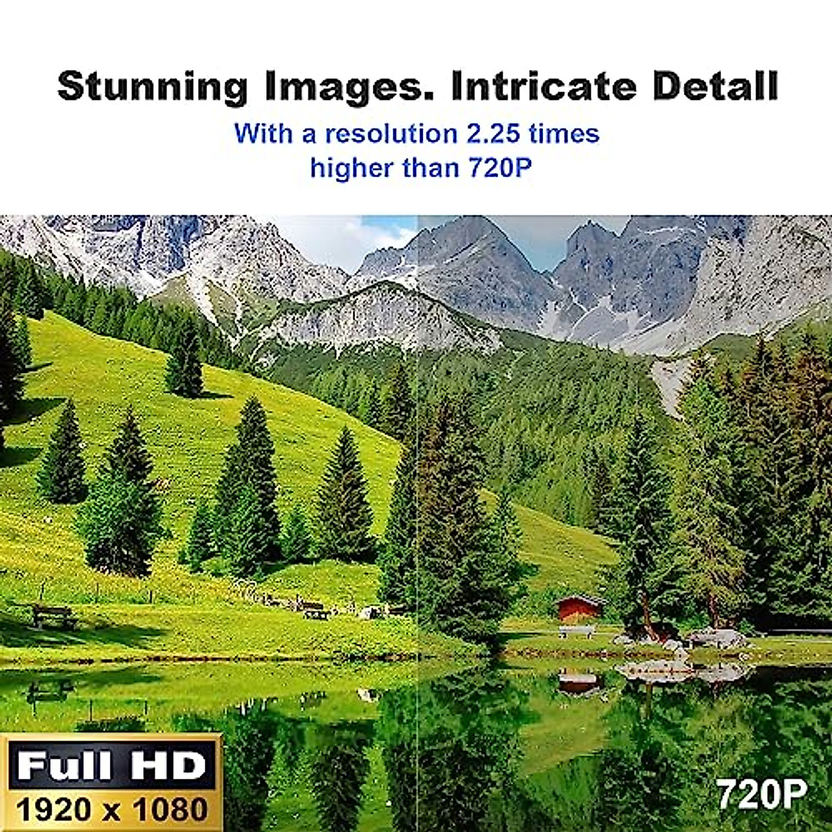 ADBEN 15.6inch FHD 1080P Laptop Monitor IPS Screen Portable Gaming External Monitor Plug&Play with PU Leather Cover Compatible with Laptop PC Phone Mac Xbox PS5/PS4 Switch