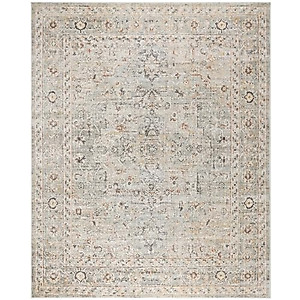 Nourison Oushak Home Traditional Light Grey 8' x 9'10" Area -Rug, Easy -Cleaning, Non Shedding, Bed Room, Living Room, Dining Room, Kitchen (8x10)