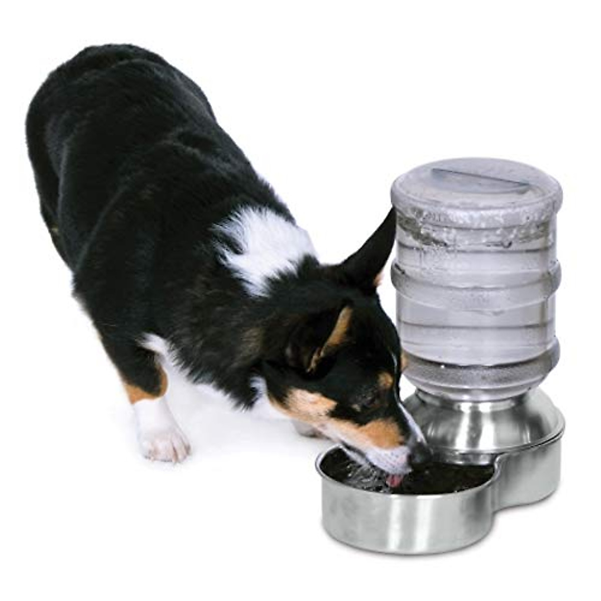 Petmate Stainless Steel Replendish Waterer, Small (24345S)