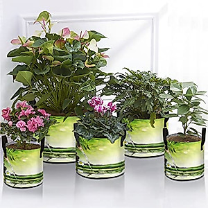 xigua 5 Gallon Plant Grow Bags with Strap Handles,Heavy Duty Thickened Nonwoven Aeration Fabric Pots Durable Container for Garden, Bamboo Stalks Candle and Basalt Stones