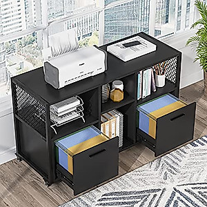 Tribesigns 2 Drawer Wood File Cabinets, Modern Mobile Lateral Filing Cabinet for Letter/ A4 Size, Printer Stand with Open Storage Shelves and Drawer for Home Office, Black
