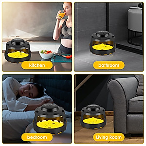 2 Pack Flea Traps for Inside Your Home,2023 𝗨𝗽𝗴𝗿𝗮𝗱𝗲𝗱 Flea Trap with LED Light for Indoor,Flea Killer Bed Bug Trap with 20 Sticky Pads,Sticky 𝗙𝗹𝗲𝗮 𝗧𝗿𝗮𝗽,Safe for Kids,Friendly to Pets