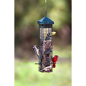 Squirrel Solution200 Squirrel-proof Bird Feeder w/6 Feeding Ports, 3.4-pound Seed Capacity, Free Seed Funnel