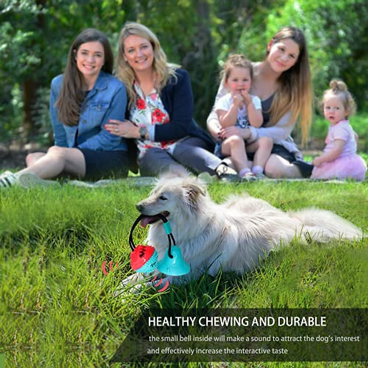 Askhald Dog Toys, Dog Chew Toys for Aggressive chewers, Puppy Dog Training Treats Teething Rope Toys for Boredom, Dog Puzzle Treat Food Dispensing Ball Toys for Puppies Teething Small Dogs (Blue)