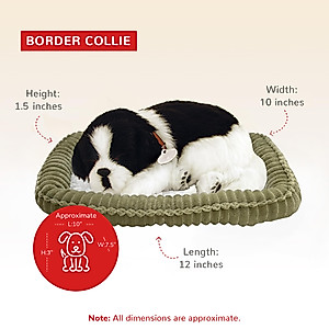 Precious Petzzz Border Collie - Pet Mate/Nap Breathing Life Like Sleeping Dog in Bed Sleeping Pet