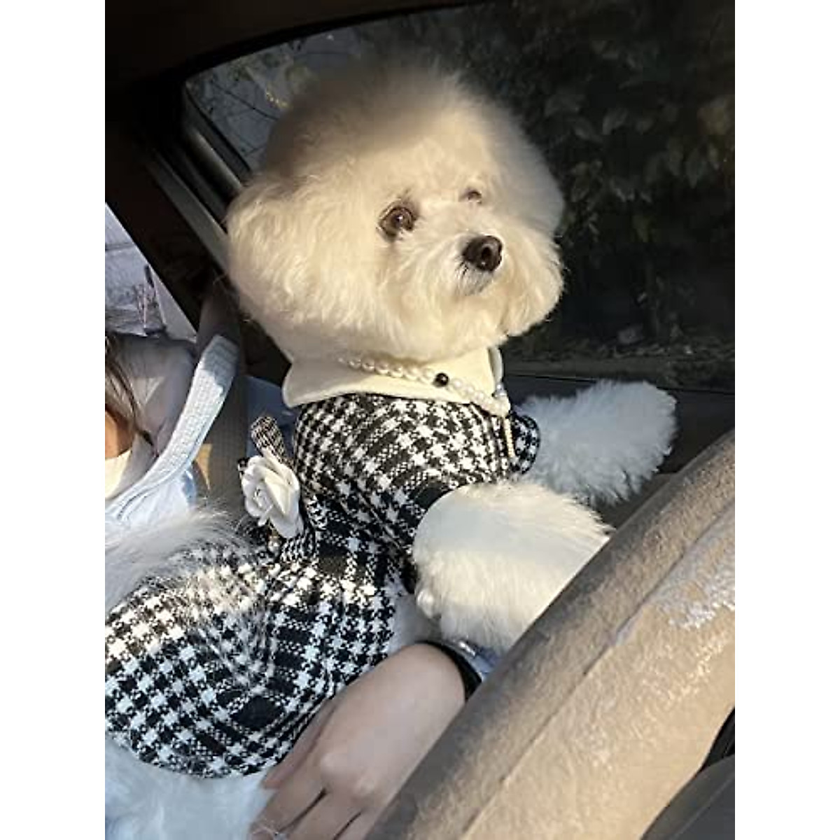 QWINEE 3pcs Dog Dress & Flower Bow & Necklace Set Geometric Princess Dress with Flower Bow Deco Puppy Skirt with Pearls Jewelry Necklace for Small Medium Cats Dogs Kitten Black and White XS