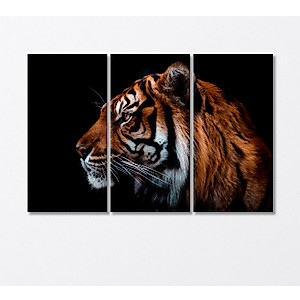 Sumatran Tiger Canvas Print 1 Panel / 36x24 inches