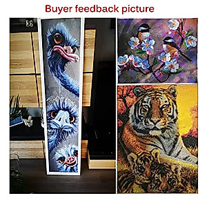 Whoonng Diamond Painting Kits for Adults, DIY 5D Large Diamond Painting Angel Wings, Full Round Diamond Art Kids,20x40in Paint by Number for Adults Diamond Dots Gem Art Crafts for Home Decor Gift