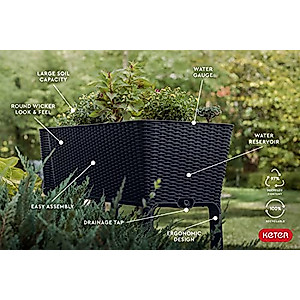 Keter Easy Grow 31.7 Gallon Raised Garden Bed with Self Watering Planter Box and Drainage Plug-Perfect for Growing Fresh Vegetables, Flowers and Herbs