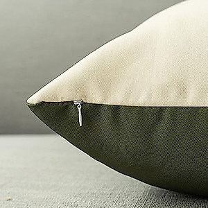 Tritard Outdoor Pillow Covers Set of 2 Waterproof Fabric Green Botanical Plant Leaves Throw Pillow Covers Leaf Pillowcases for Patio Furniture Living Room, 18x18