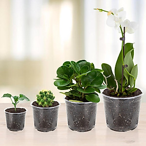 OUPSAUI 36 Pack 7/6/5/3.5 Inch Clear Nursery Pots Variety Pack, Clear Plastic Nursery Pot for Plants, Durable Seed Starting Pot with Drainage Holes, Flexible Transparent Pot for Succulents