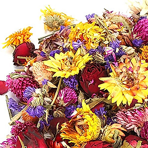 GLOGLOW Small Pet Bedding, Dried Flowers Padding for Squirrels Guinea Pigs Rabbits Chinchillas Hamsters Gerbils(100g) Treats