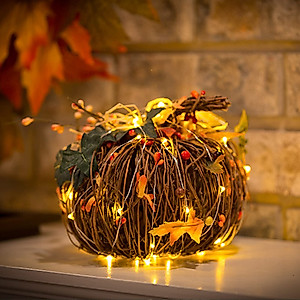 Metaku 2 Pack 33Ft 100 LED Fairy Lights Battery Operated String Lights with Remote Timer, LED Twinkle Lights for Bedroom, Party, Wedding, Centerpiece, Christmas Tree (Warm White)