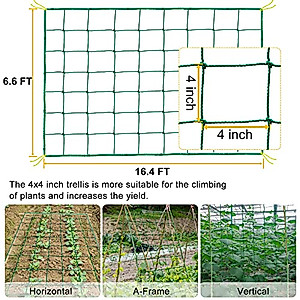 Garden Trellis Netting for Climbing Plants Outdoor, 6.6x16.4 FT Plant Netting for Cucumber, Tomato, 27 Strands Trellis Net with 4x4 Inch Mesh as Vegetable Netting for Grape, Bean
