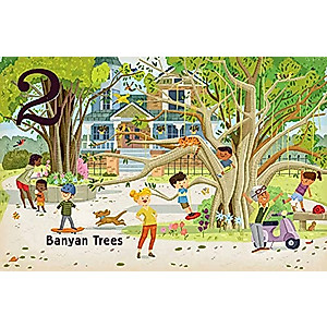 Trees: A Count and Find Primer (BabyLit)