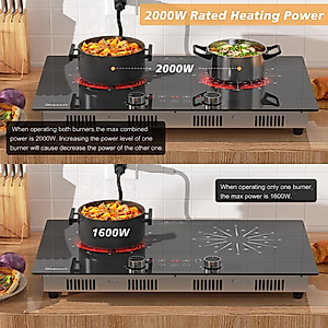 Disaenvir 2 Burner Electric Cooktop 110V - 24 Inch Ceramic Stove Top Countertop & Built-in, 2000W Two Burner Radiant Electric Cook Top with LCD Touch & Knob Control, Timer, Safety Lock, 120V Plug in