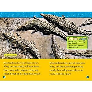 Alligators and Crocodiles (National Geographic Kids Readers)