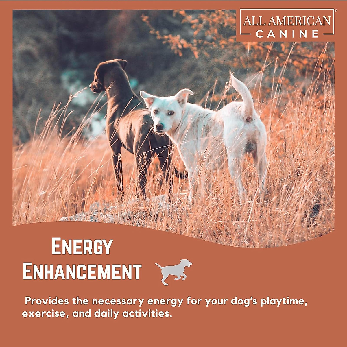 All American Canine Dog Weight Gainer - Dog Protein Powder - High Calorie Dog Food Supplement, Premium Quality Weight Gainer, Mass, Recovery, Appetite Stimulant - 60 Servings