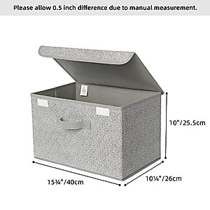 GRANNY SAYS Bundle of 2-Pack Clothing Storage Bins with Lids & 1-Pack Hanging Storage Shelves for Organizing